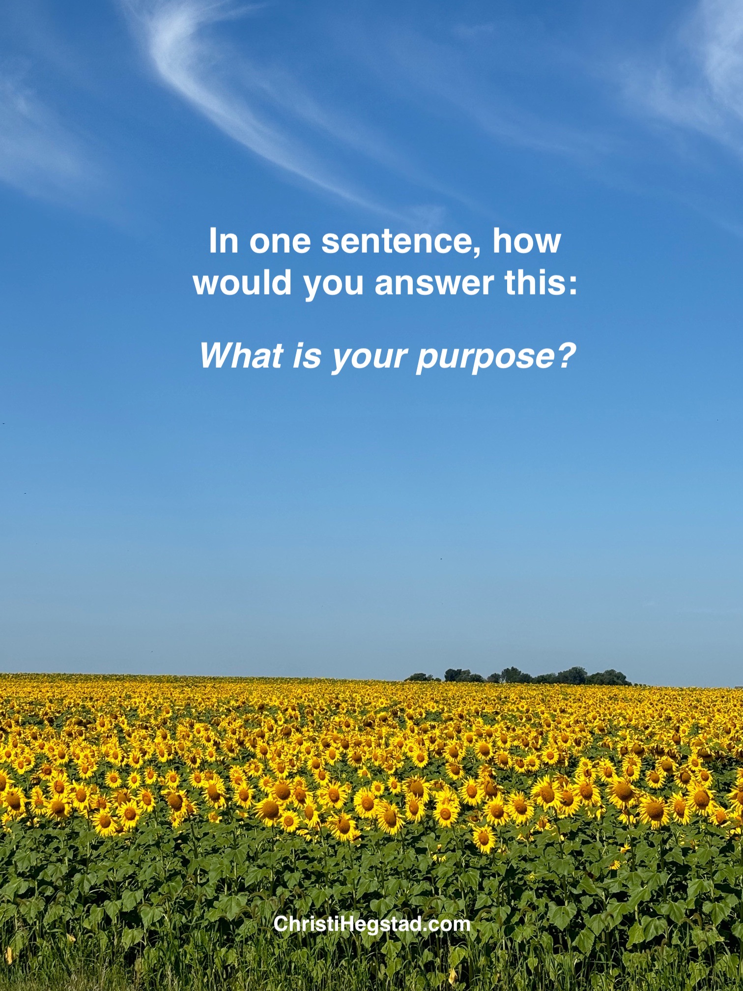 How Can A Purpose Statement Benefit YOU? | MAP Professional Development