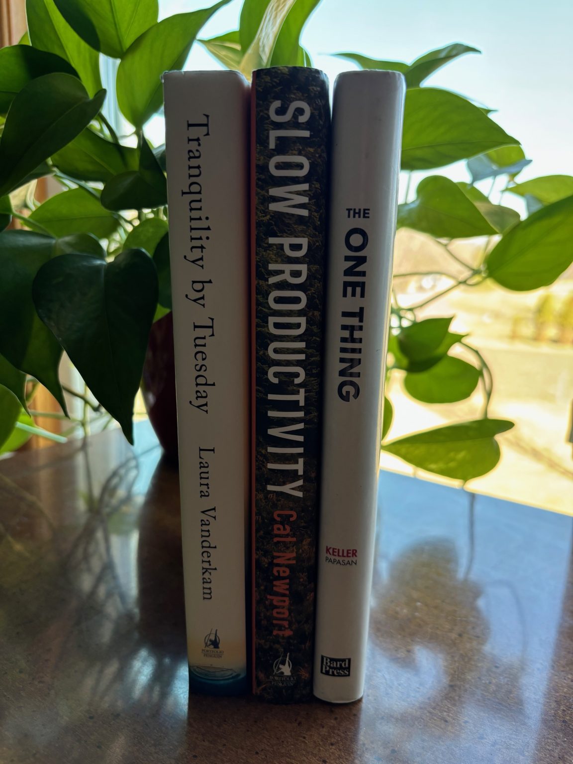 Book Flight: Purposeful Productivity | MAP Professional Development