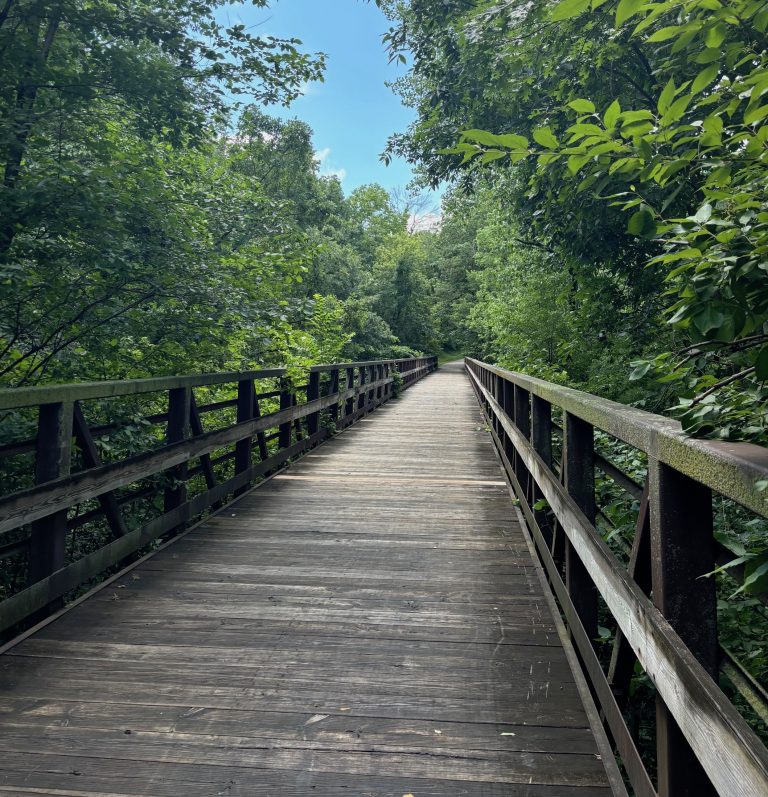 Creating Your Own Personal Growth Curriculum | MAP Professional Development